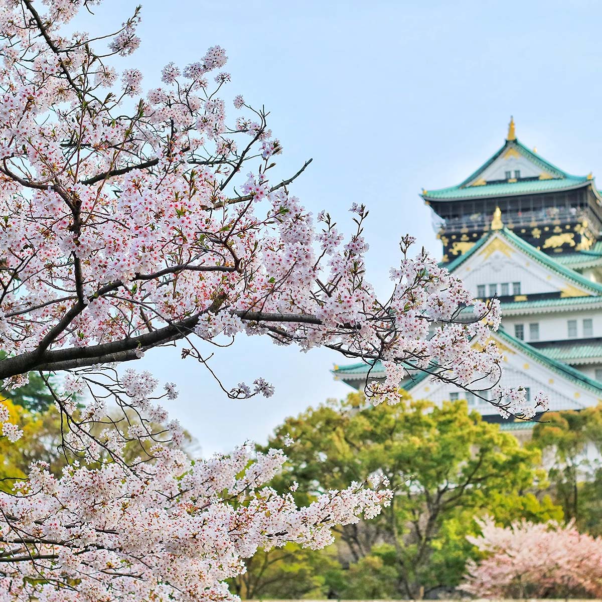 Embracing the Spring Equinox: A Fresh Start for Travel